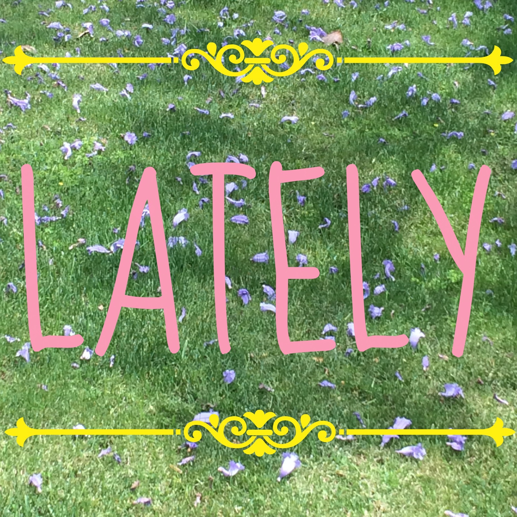 Lately . . . – KendraNicole.net