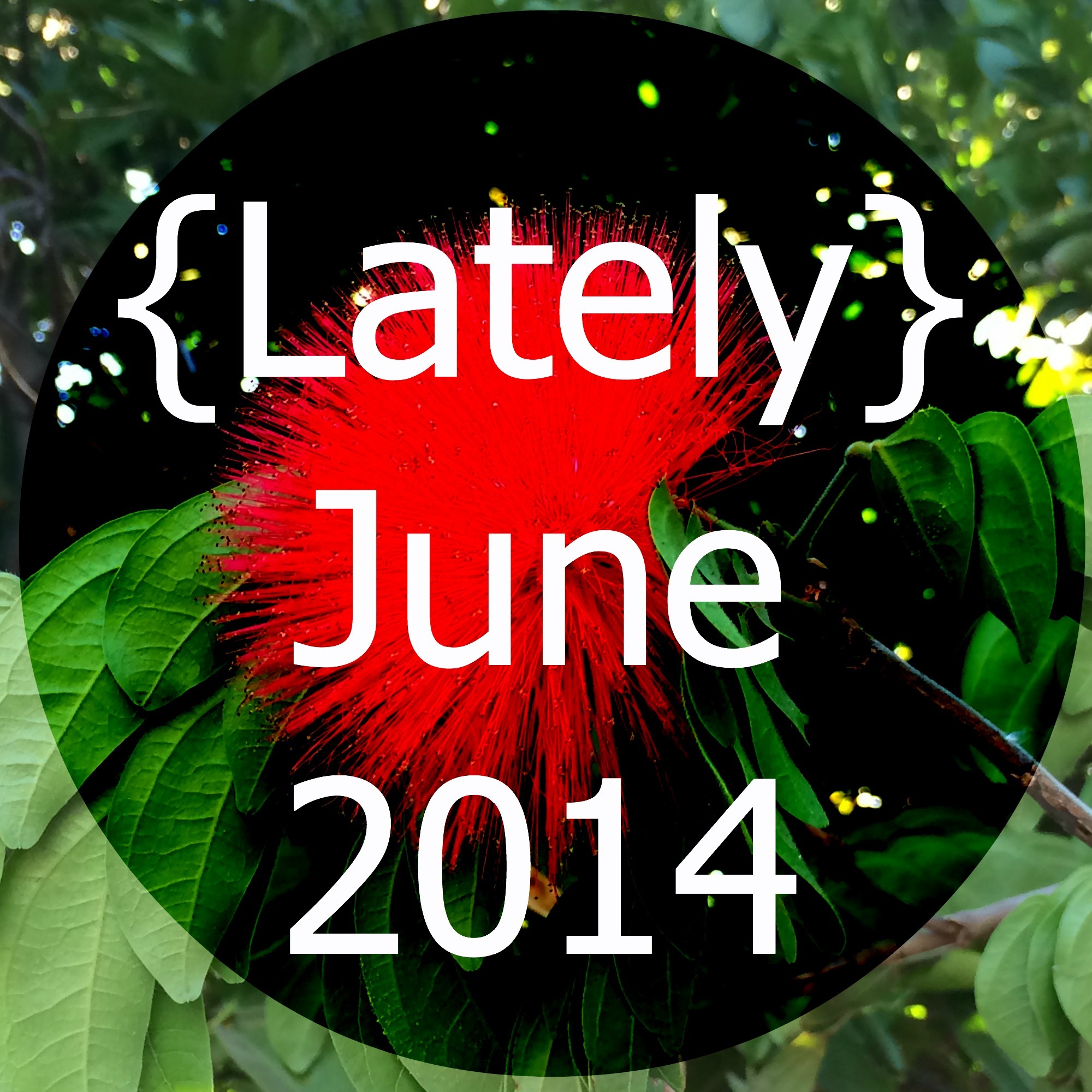 Lately // June 2014 Edition – KendraNicole.net