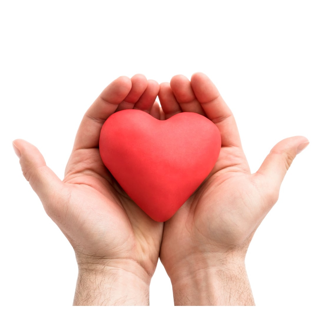 His Whole Heart – KendraNicole.net