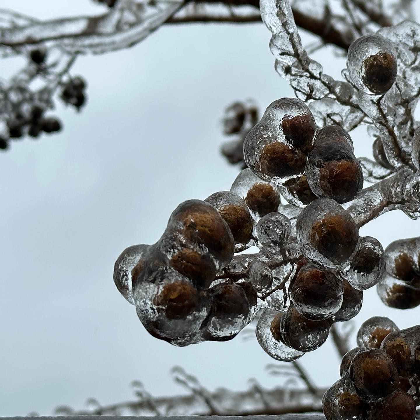 What I Learned This Winter About Decisions, Transitions, Restraint, and ...